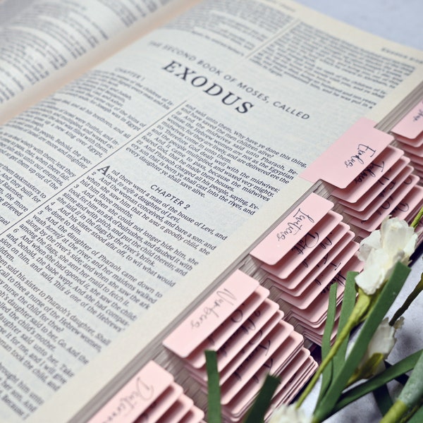 Pink Bible Study Accessories - Etsy