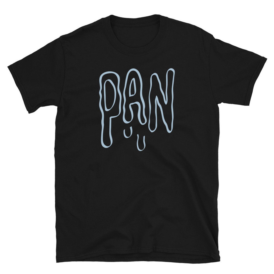 PAN FUN Pansexual PWR Lgbt Bisexual Demisexual Queer Gay - Etsy