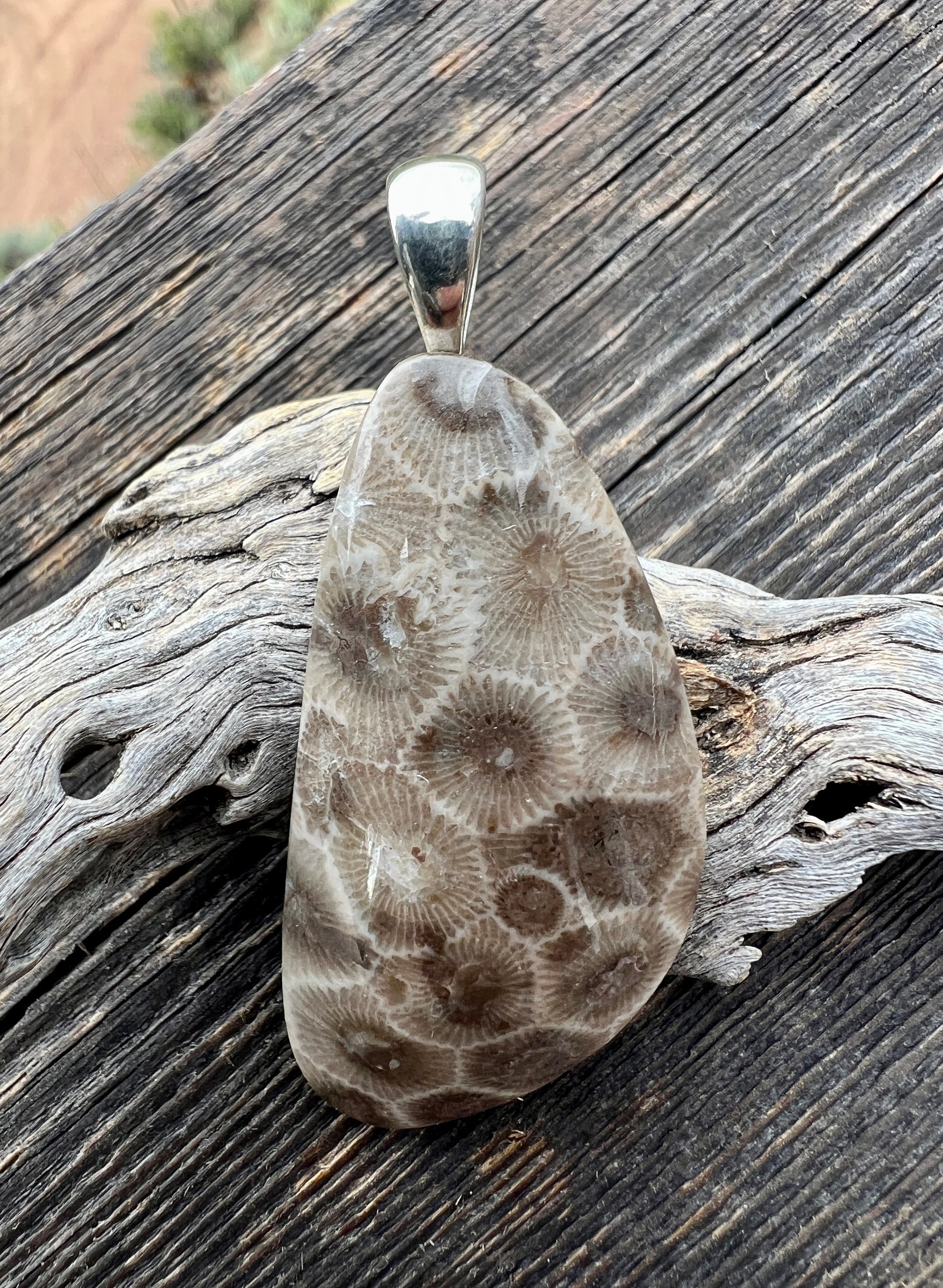 Stone of Transformation: Petoskey Coral Pendant - Etsy