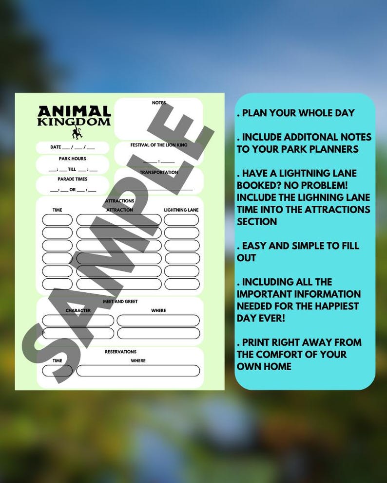 Printable Disney Planner 2024-2025 | Detailed Disney World Itinerary ...