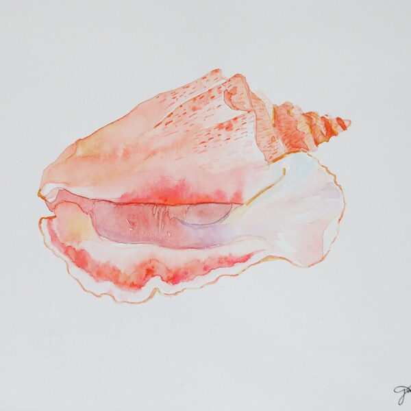 Conch Shell Art - Etsy