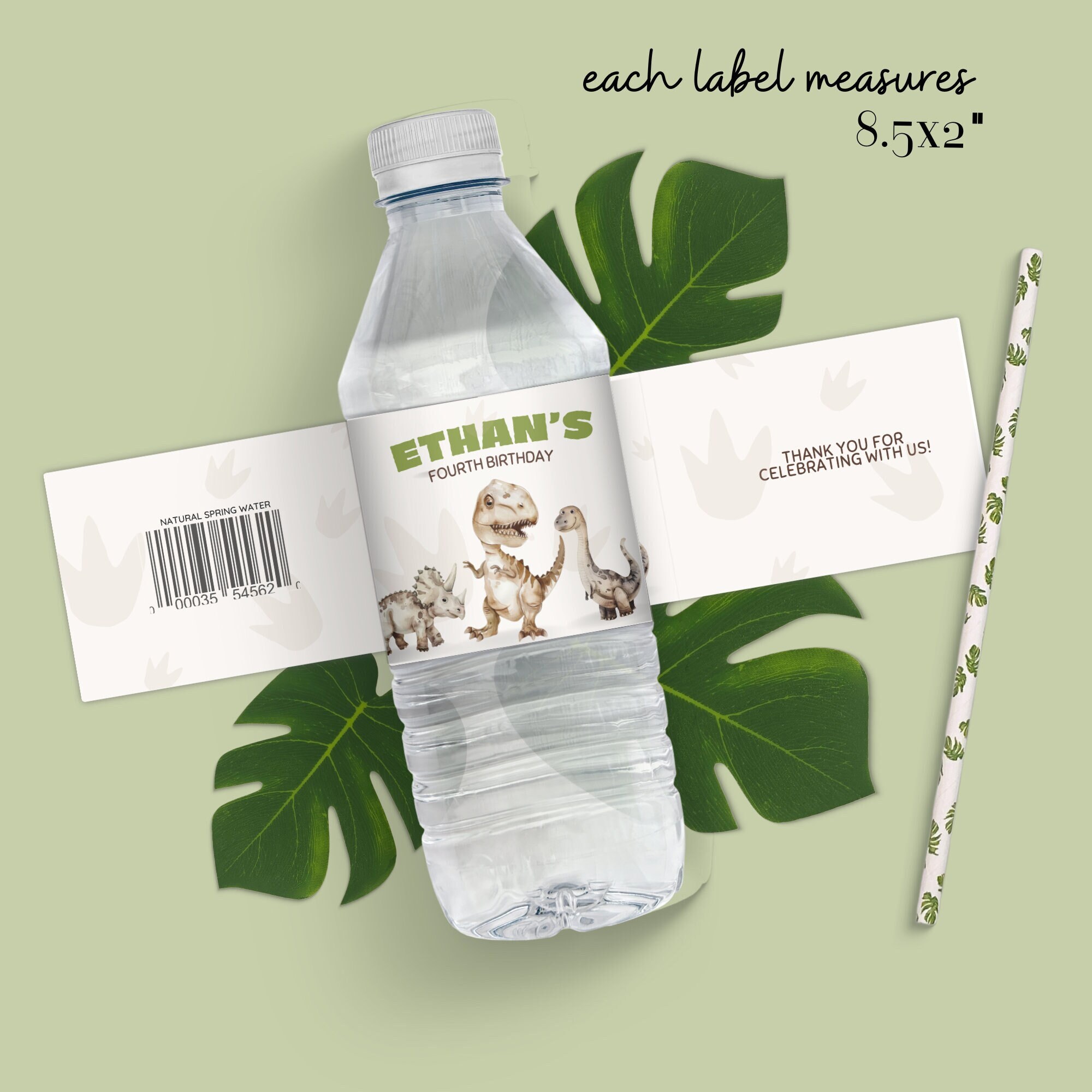 Editable Dinosaur Water Bottle Label Canva Template T-rex Dino-mite ...