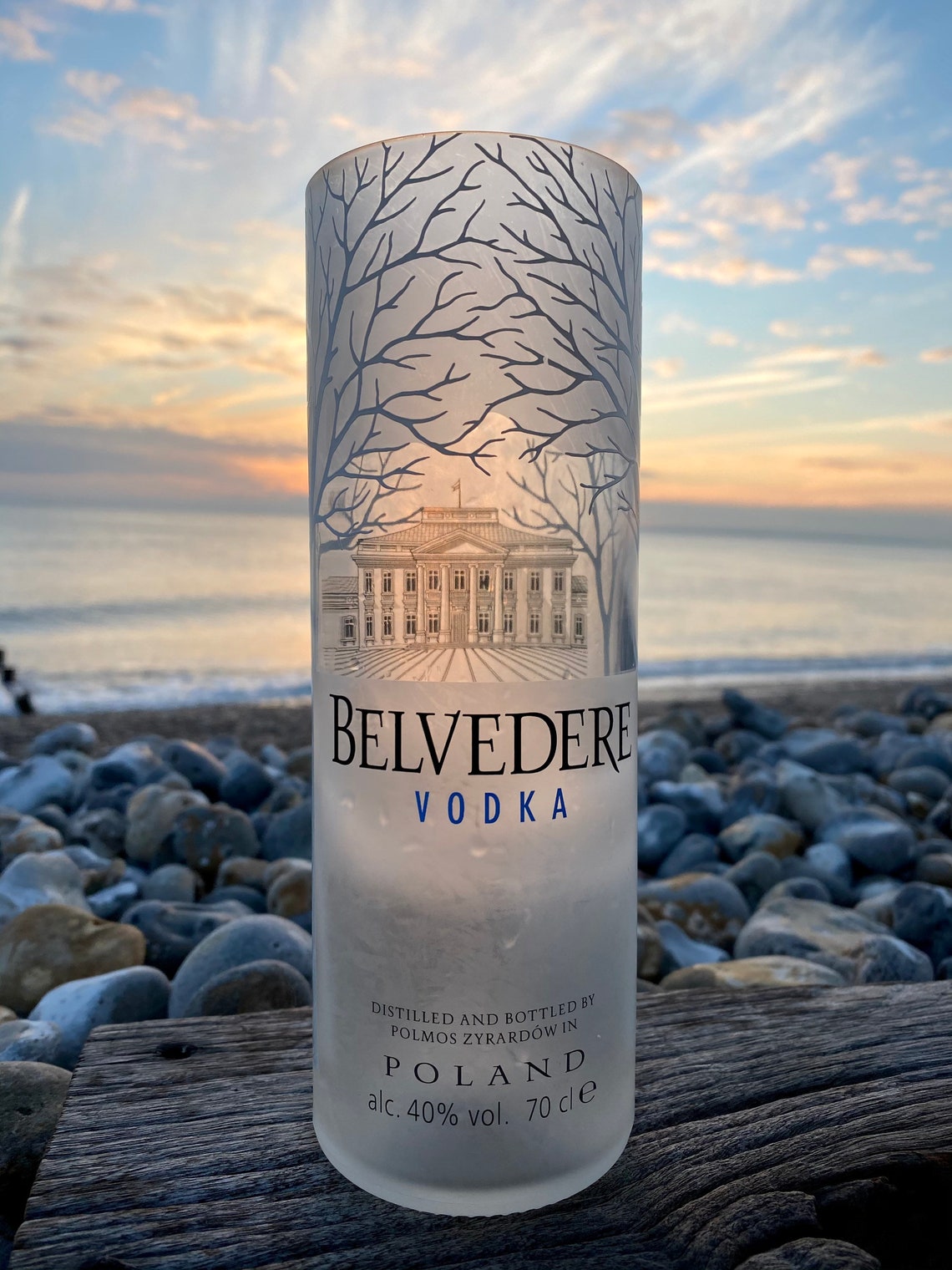 Belvedere Vodka Glass Vodka Lover T Vodka Glass Etsy