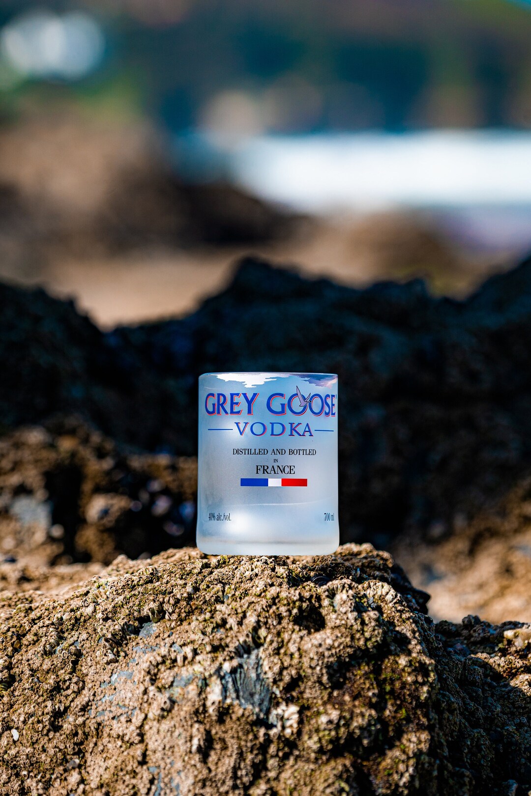 Grey Goose Glass Grey Goose Glassware Gift for Him Christmas - Etsy