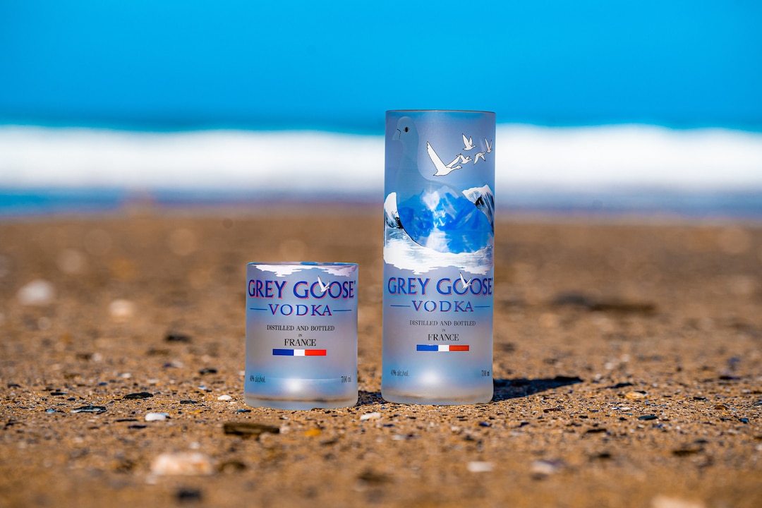 Grey Goose Glass Set Grey Goose Glassware Gift for Him - Etsy