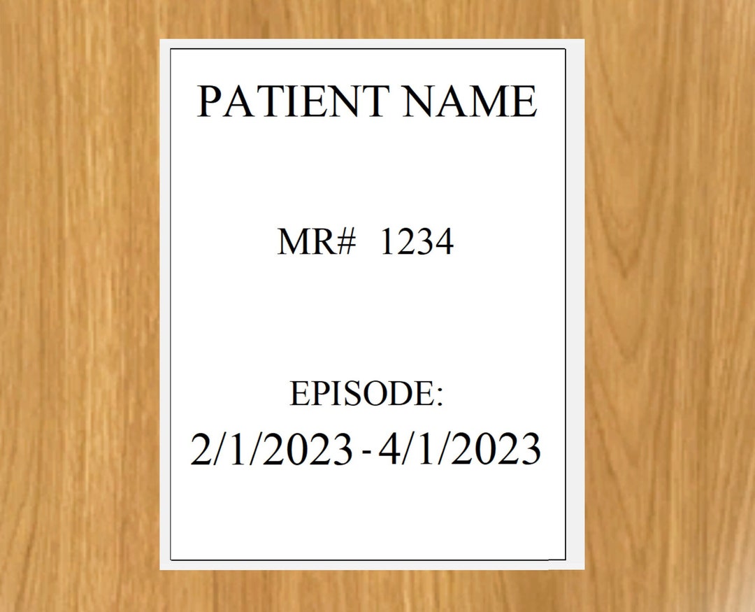 Patient Chart Template. Home Health, Hospice Patient Folder. - Etsy