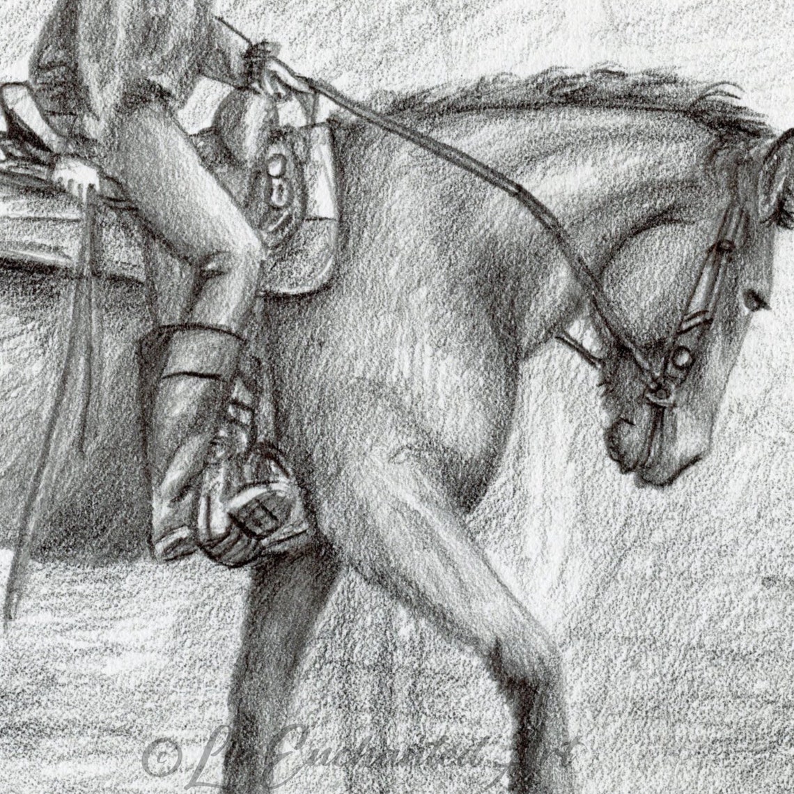 Graphite Portraits Custom Horse Drawings Pencil Art Horse and Rider Art ...