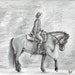 Graphite Portraits Custom Horse Drawings Pencil Art Horse and Rider Art ...