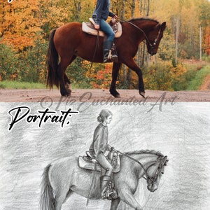 Graphite Portraits - Custom Horse Drawings - Pencil Art - Horse and ...