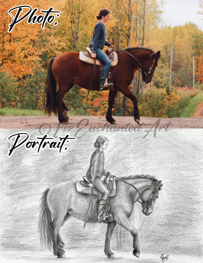 Graphite Portraits - Custom Horse Drawings - Pencil Art - Horse and ...