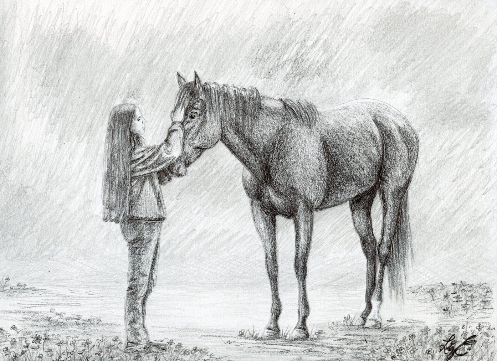 Graphite Portraits - Custom Horse Drawings - Pencil Art - Horse and ...