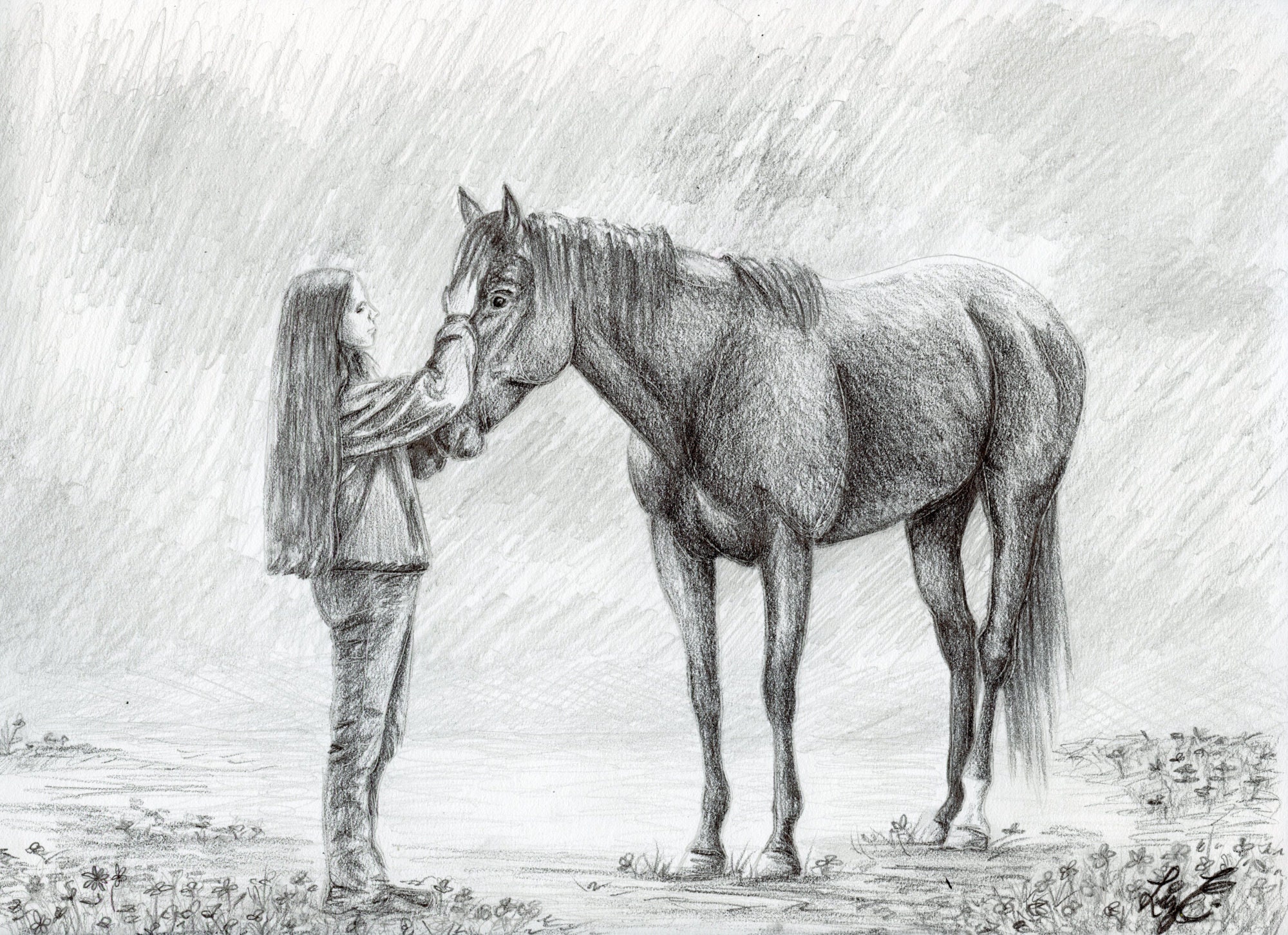 Graphite Portraits Custom Horse Drawings Pencil Art Horse and Rider Art ...
