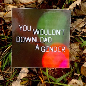 Holographic Gender Sticker Funny LGBTQ Trans 2000s Nostalgia Y2K - Etsy