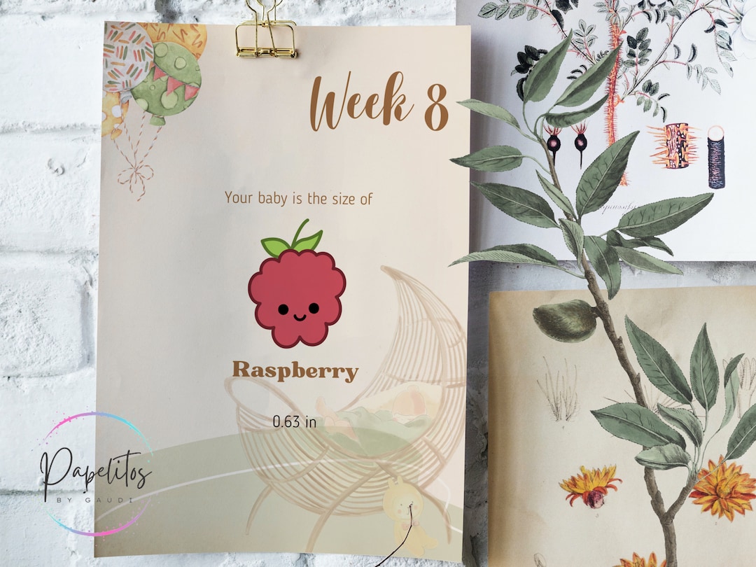 Printable Pregnancy Calendar – Weekly Fruit-size Baby Tracker | PDF 8.5 ...