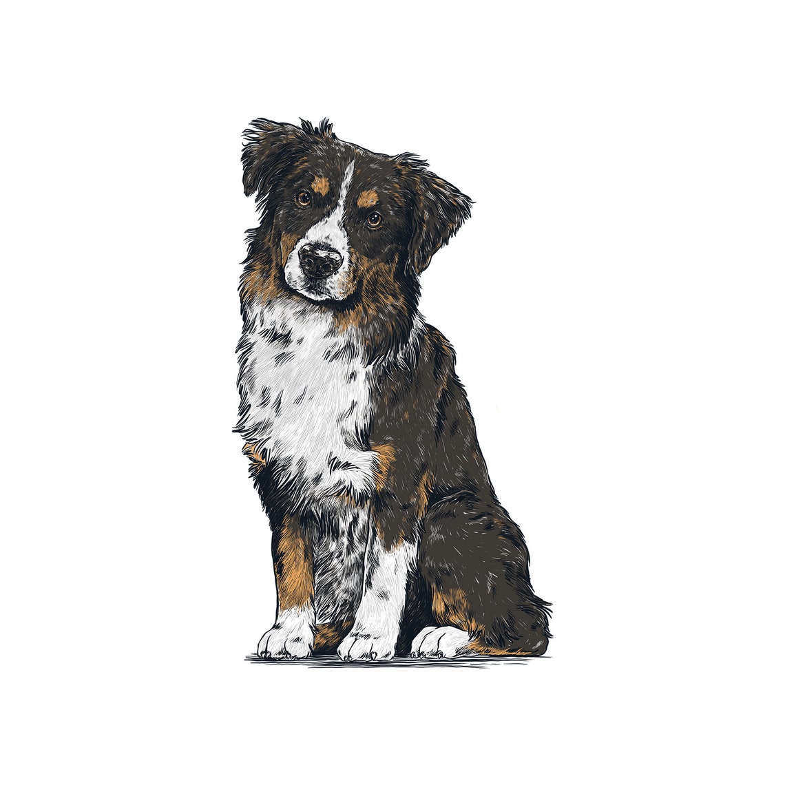 Australian Shepherd Sticker Black Tri Etsy
