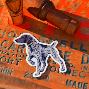 German Shorthair Pointer Sticker or Print - Etsy