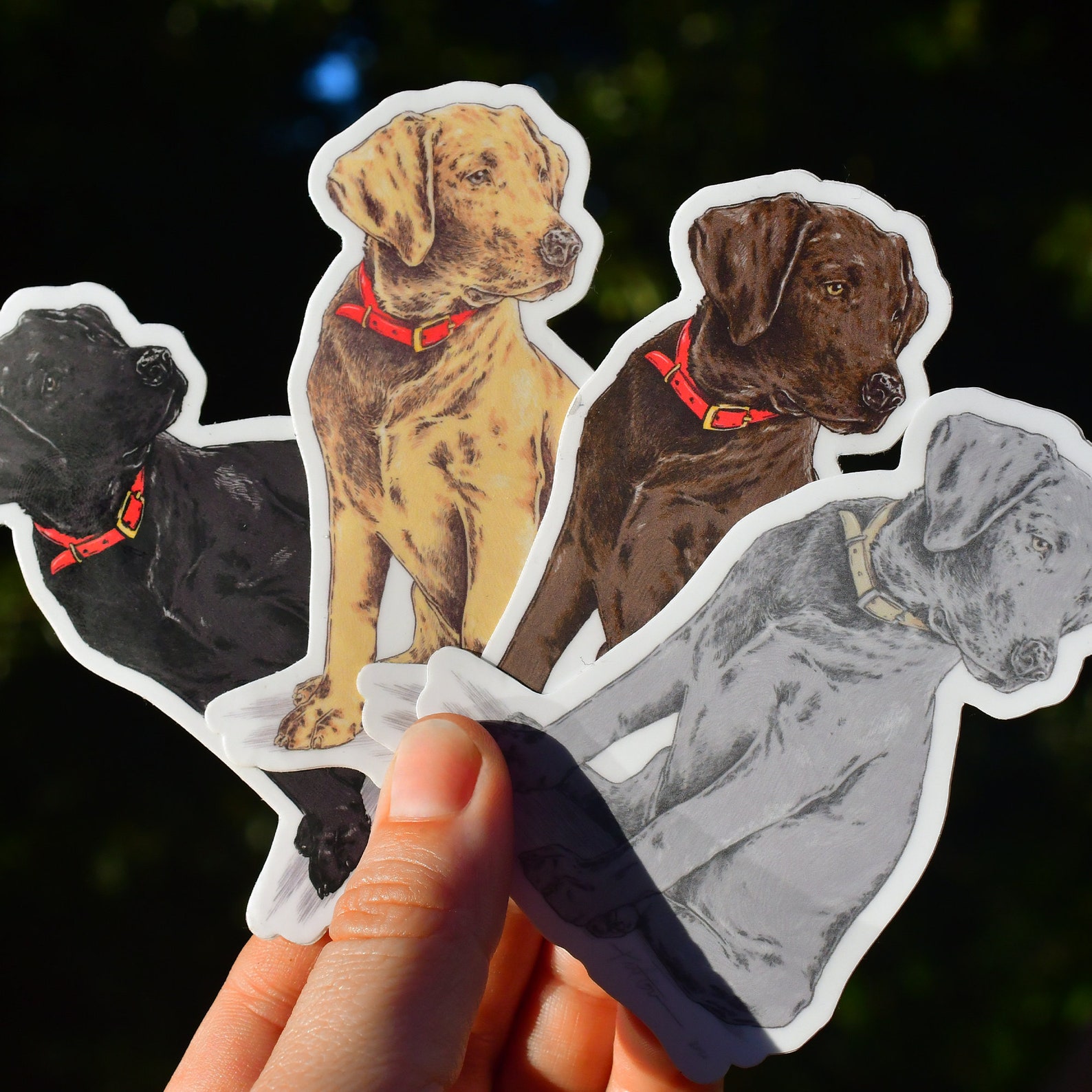 Black Labrador Sticker - Etsy