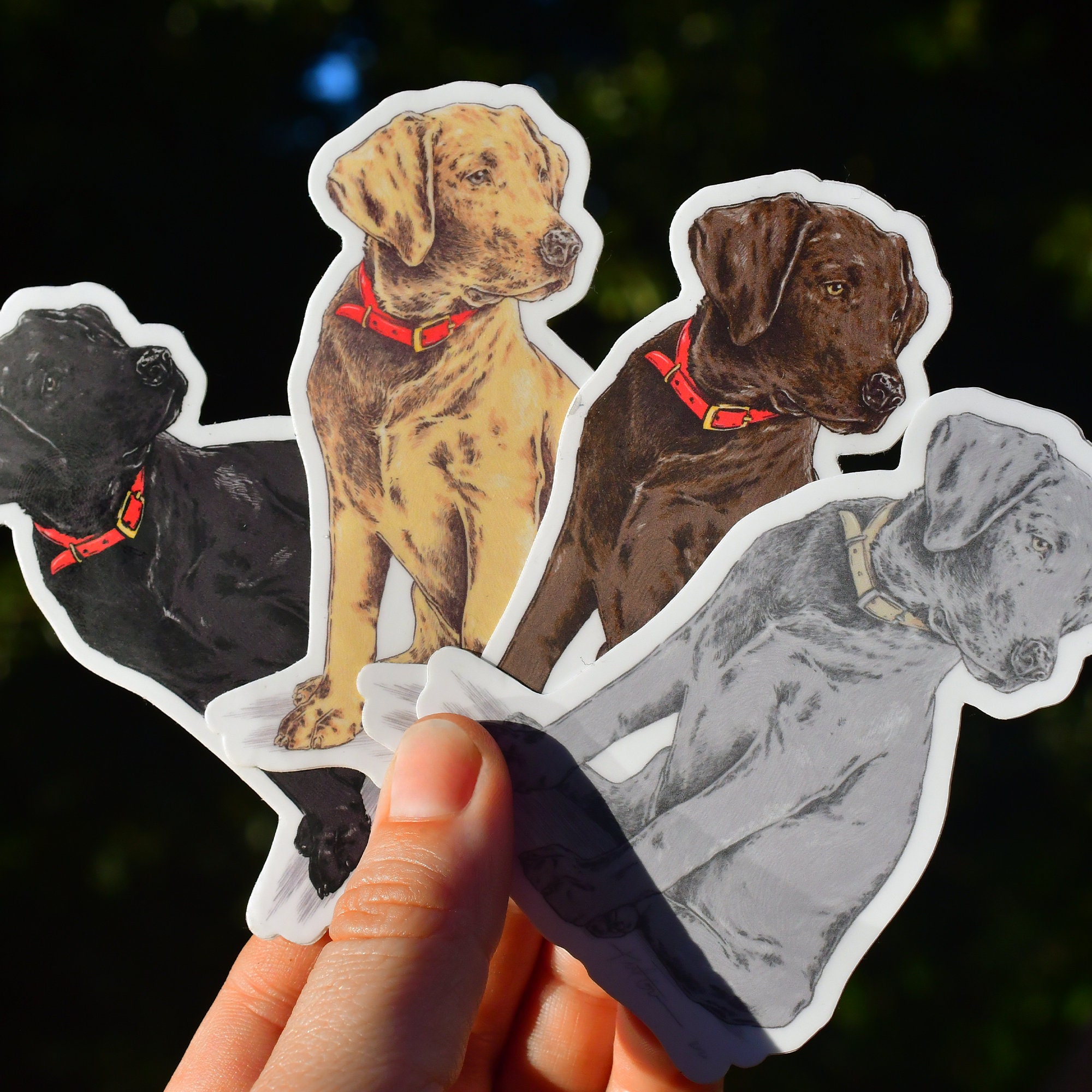 Black Labrador Sticker - Etsy