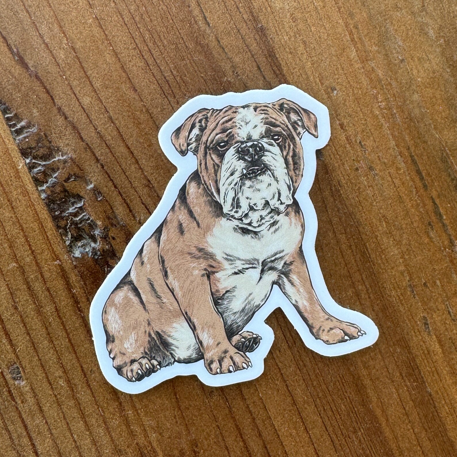 English Bulldog Sticker - Etsy