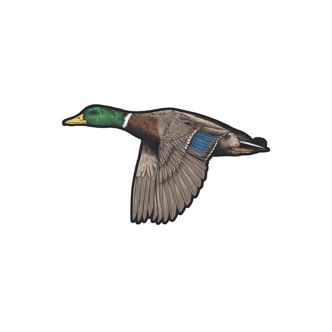 Mallard Duck Sticker - Etsy