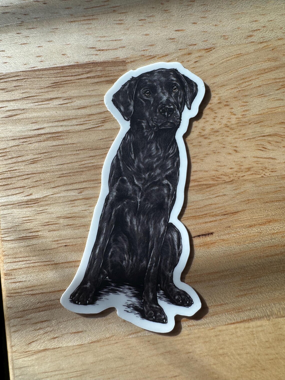 Black Labrador-adult Sticker or Print - Etsy
