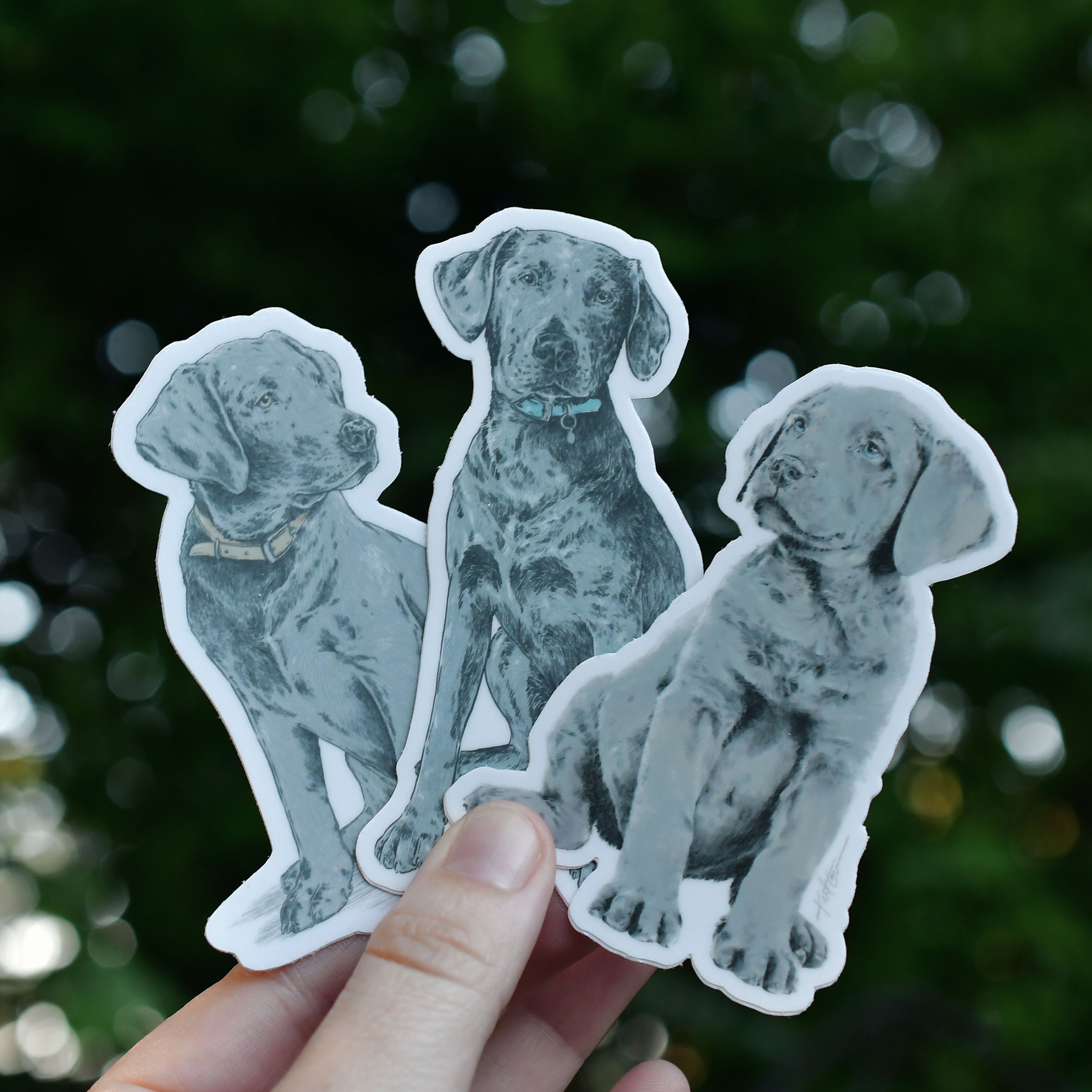 Silver Labrador II Sticker - Etsy