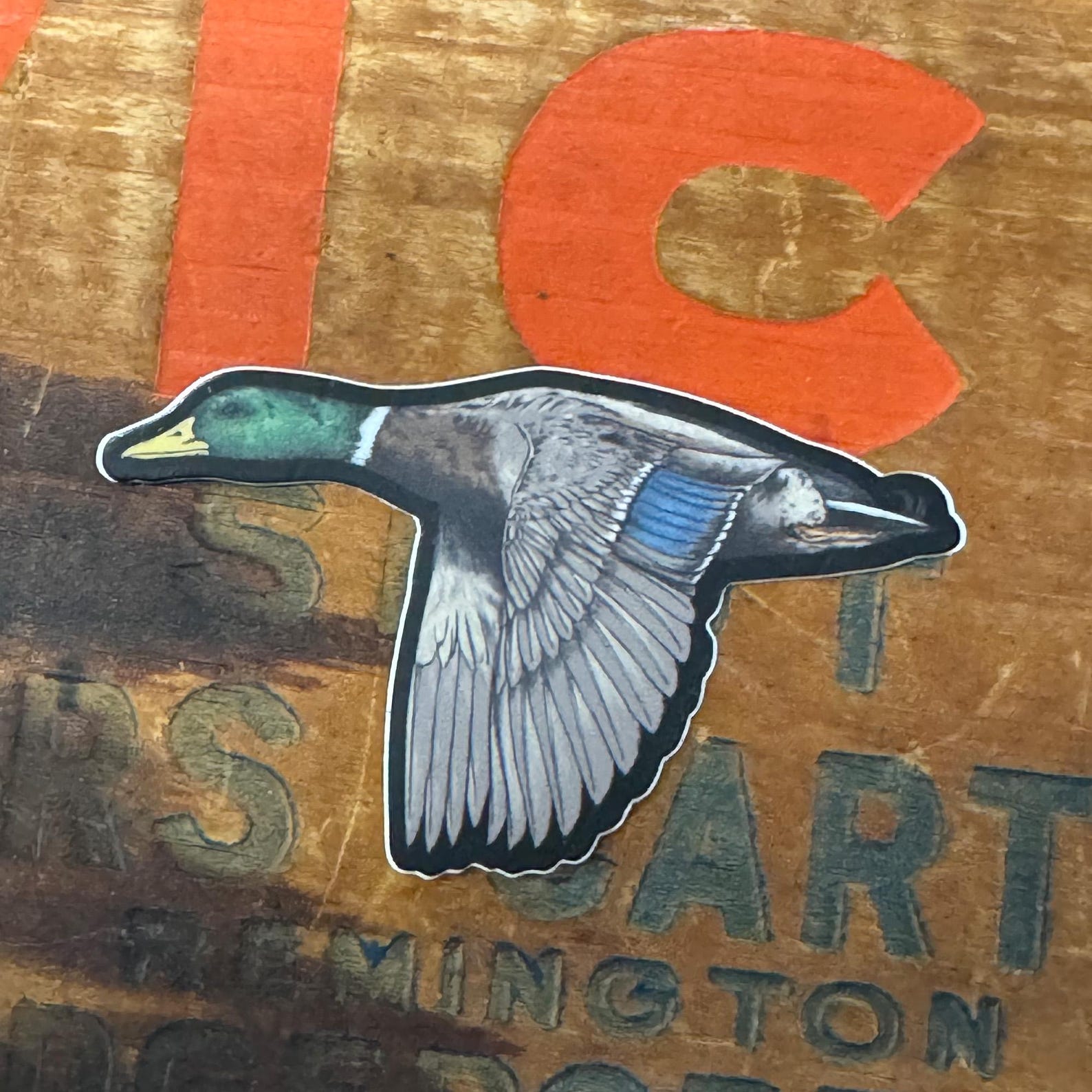 Mallard Duck Sticker - Etsy