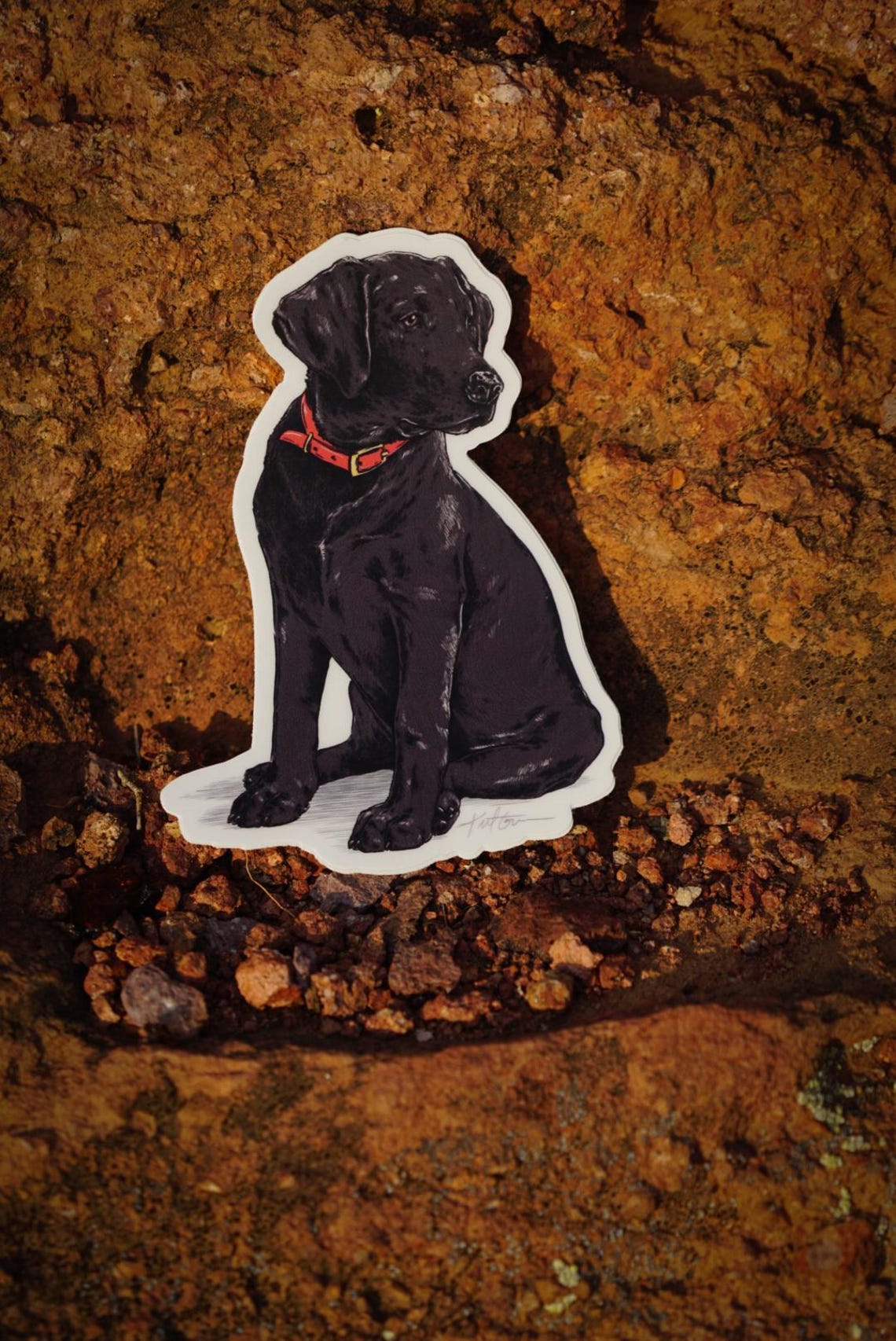 Black Labrador Sticker - Etsy