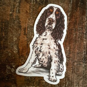 English Springer Spaniel Sticker - Etsy