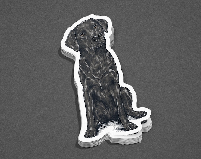 Black Labrador-adult Sticker or Print - Etsy