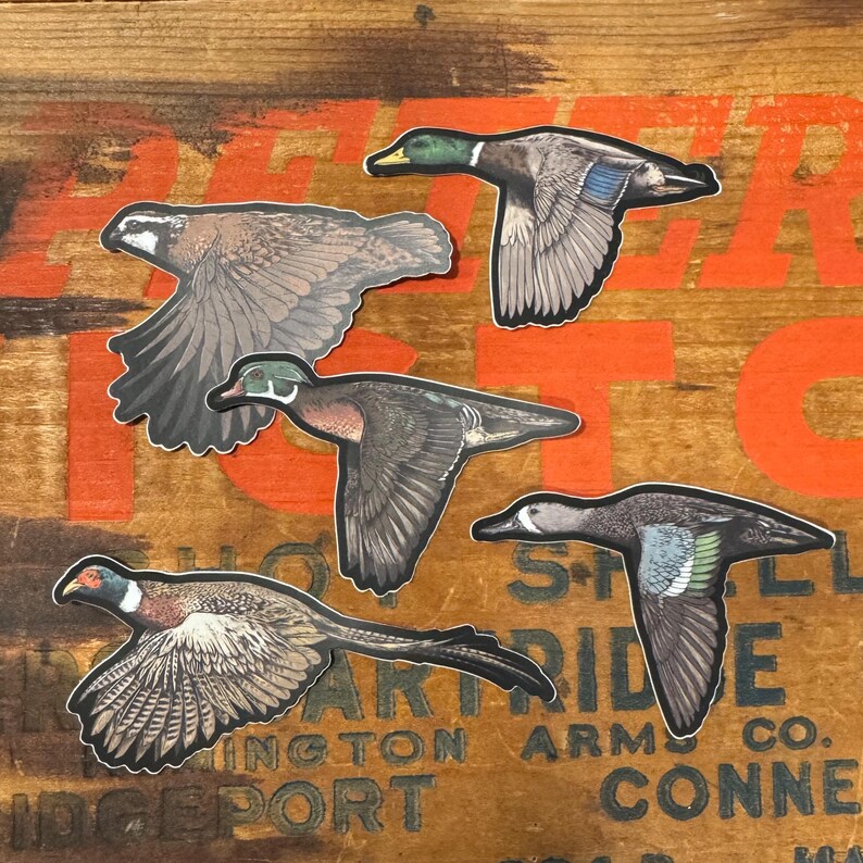 Mallard Duck Sticker - Etsy