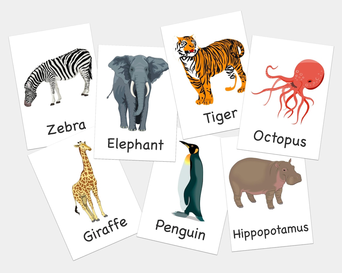 Zoo Animal Flashcards Printable Flashcards Learning for Babies and Kids ...