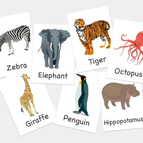 Zoo Animal Flashcards Printable Flashcards Learning for - Etsy Australia