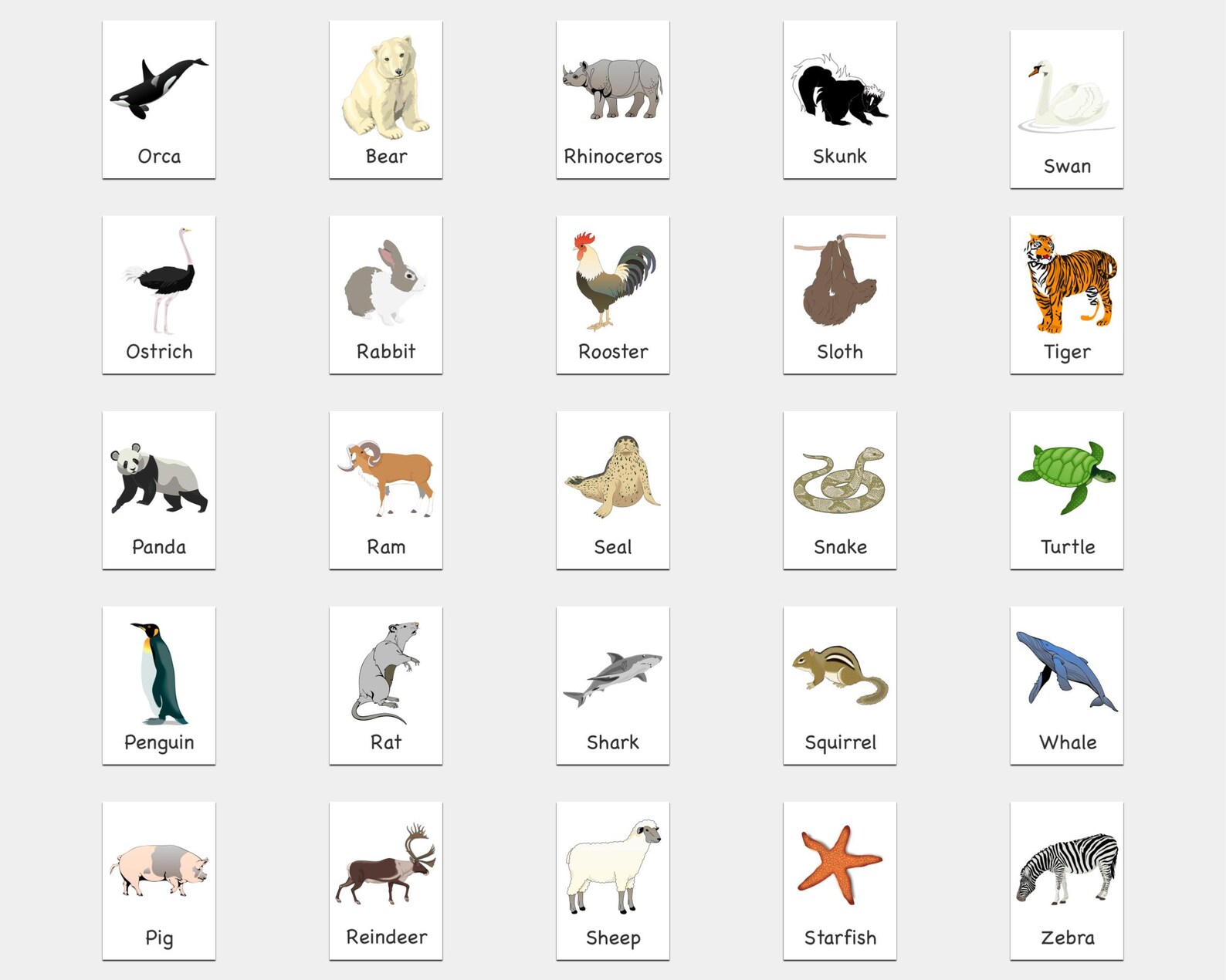 Animal Flashcards - Printable Flashcards - Animals and Insects ...
