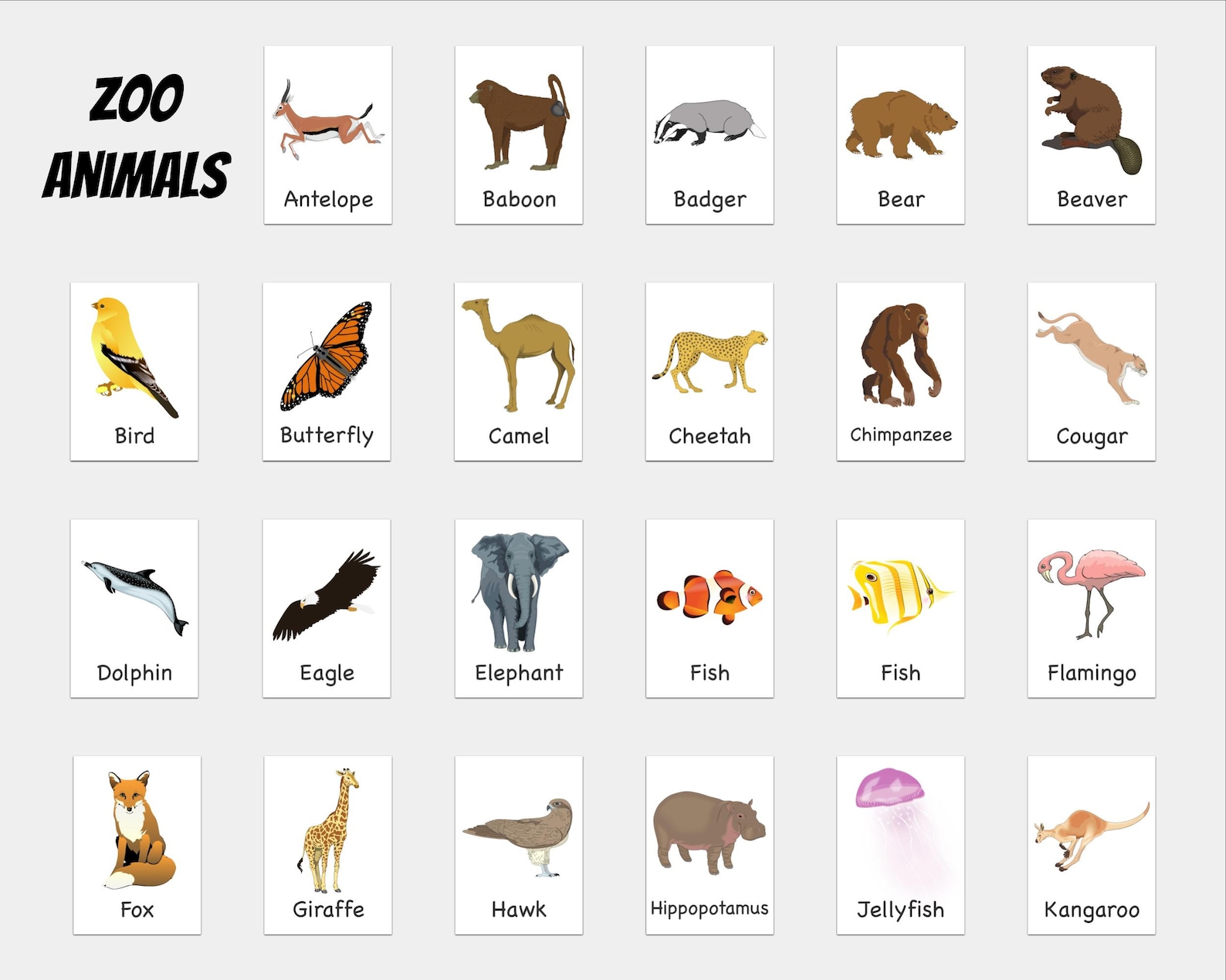 Zoo Animal Flashcards - Printable Flashcards - Learning for Babies and ...