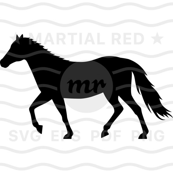 Horse Svg Stallion Svg Colt Svg Mare Svg Bronco Svg - Etsy