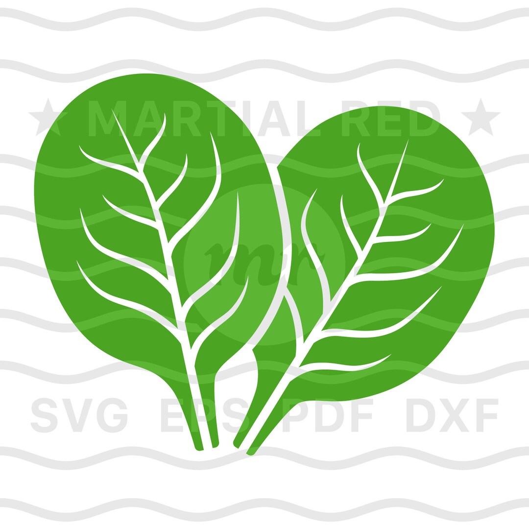 Spinach Svg, Vegan Svg, Vegetarian Svg, Spanich Leaves Svg, Leaf, Green ...