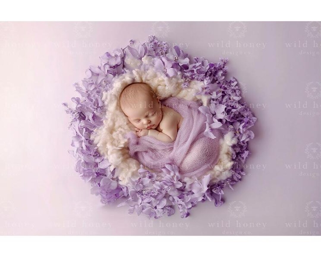 Purple Flowers Newborn Digital Backdrop, Lilac, Baby, White Wool ...