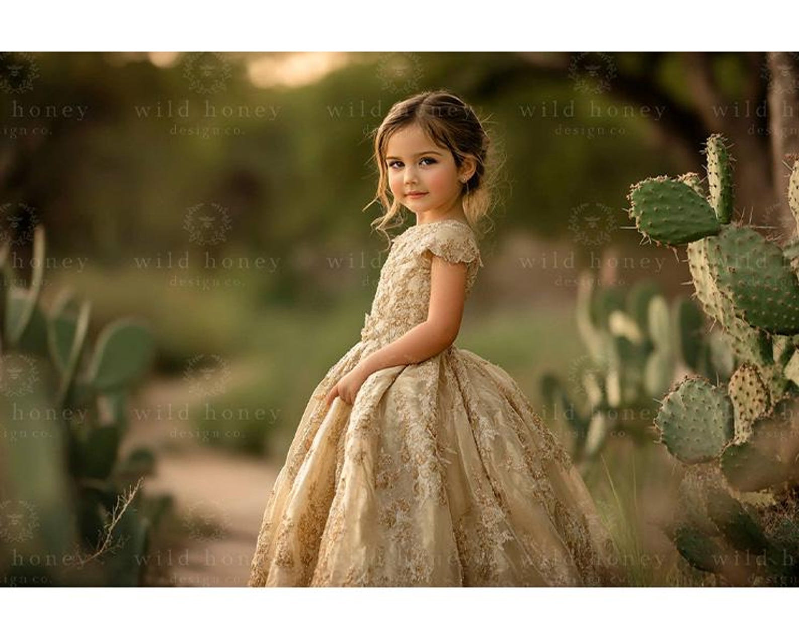 Cactus Desert Photography Digital Backdrop: Golden Hour Haze (digital ...
