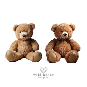 Photorealistic Teddy Bear Overlays, Clipart, 10 Pngs, Teddies, Toys ...