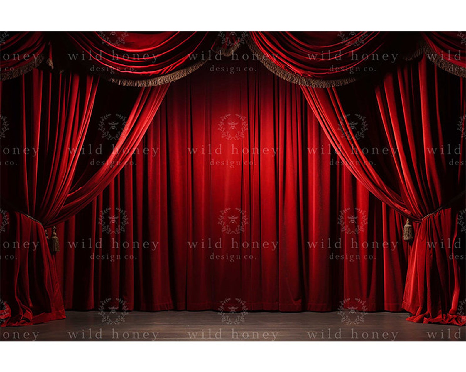 Theatre Stage Digital Backdrop: Spotlight, Play, Dance (digital ...