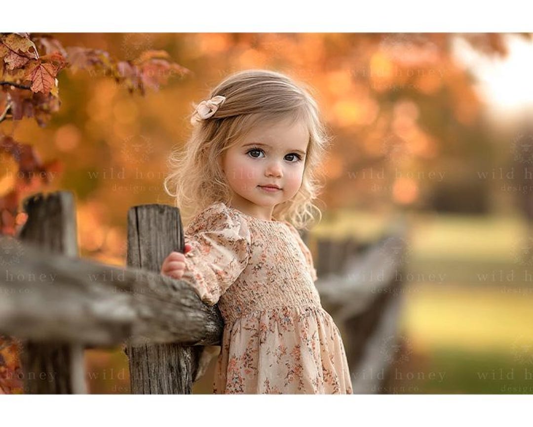 Fall Fence Digital Backdrop Background, Sunny, Autumn, Photography ...