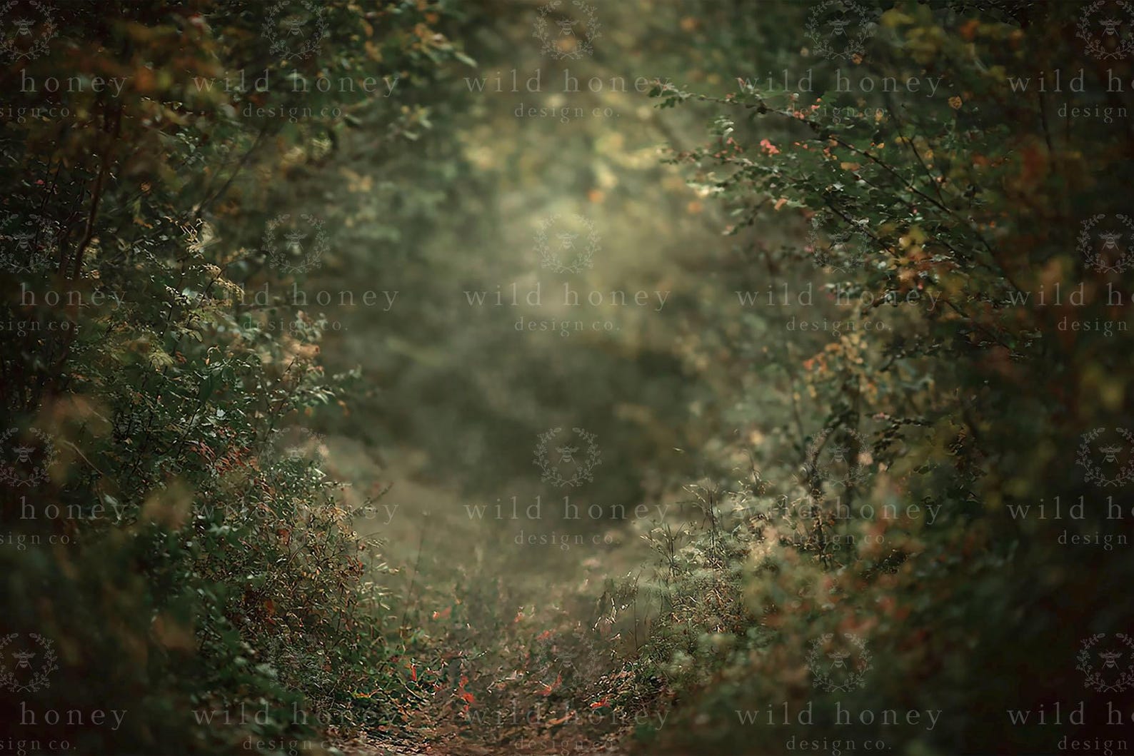 Forest Path Digital Backdrop, Firs, Trees, Maternity, Portrait ...