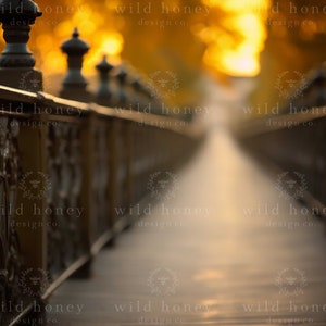 Sunset Bridge Digital Backdrop, Iron Bridge, Fall, Golden Afternoon ...