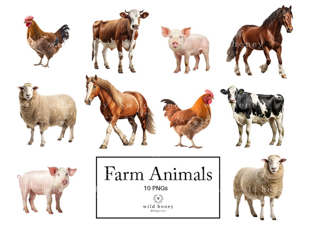 Photorealistic Farm Animals Overlays, Clipart, 10 Pngs, Farmyard ...
