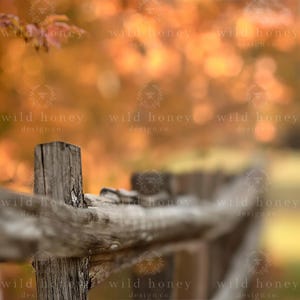 Fall Fence Digital Backdrop Background, Sunny, Autumn, Photography ...