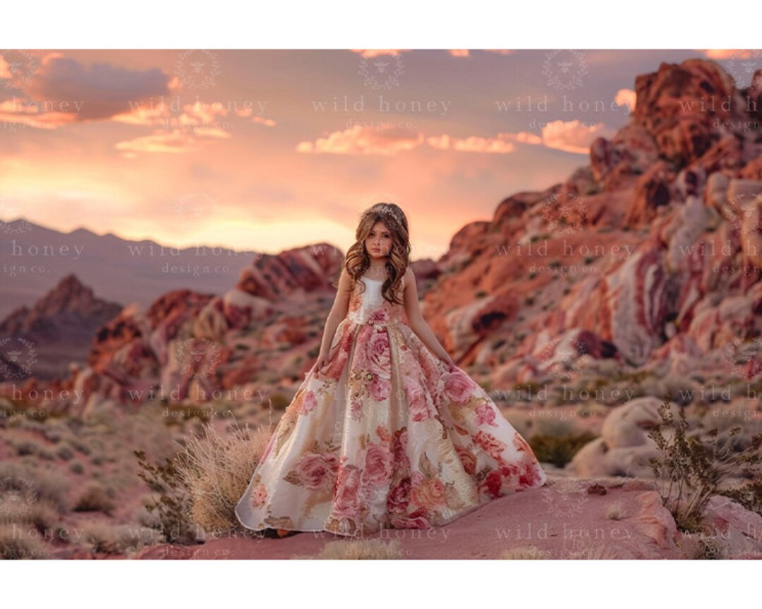 Desert Digital Backdrop, Mountains, Red Rock, Pink Clouds, Sunset ...