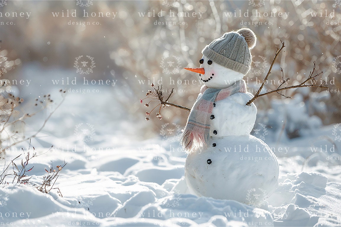 Friendly Snowman Digital Backdrop, Christmas, Winter, Snow, Digital ...