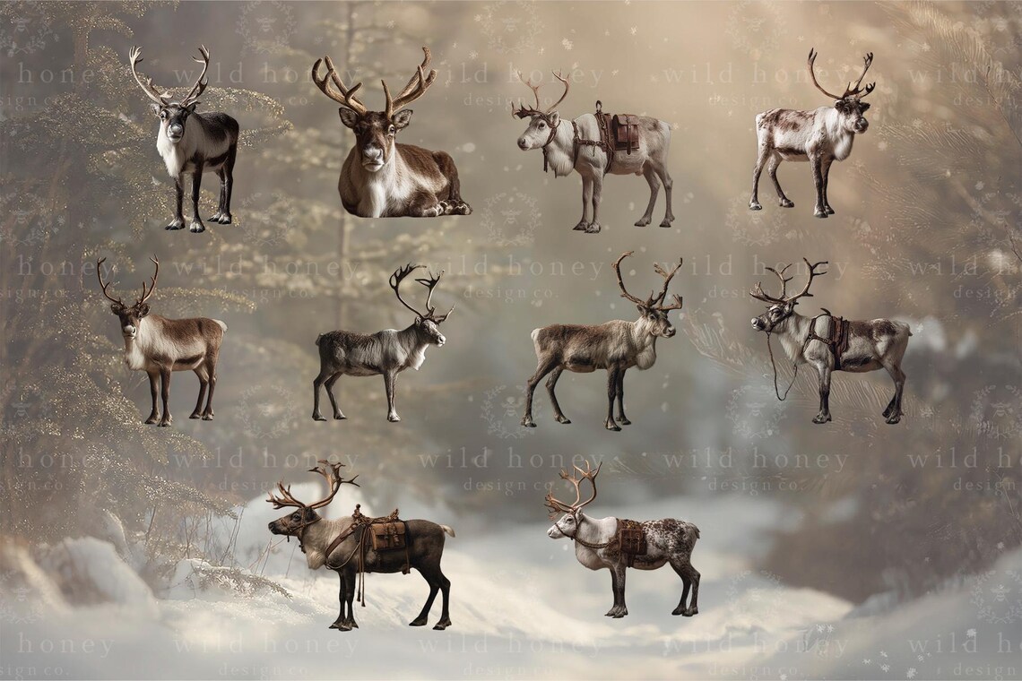 Reindeer Overlays, Photography, Clipart, Bundle, Commercial Use Pngs - Etsy