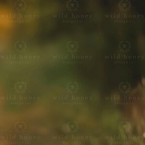 Nature Painterly Digital Backdrop, Bokeh, Field, Park, Portrait ...